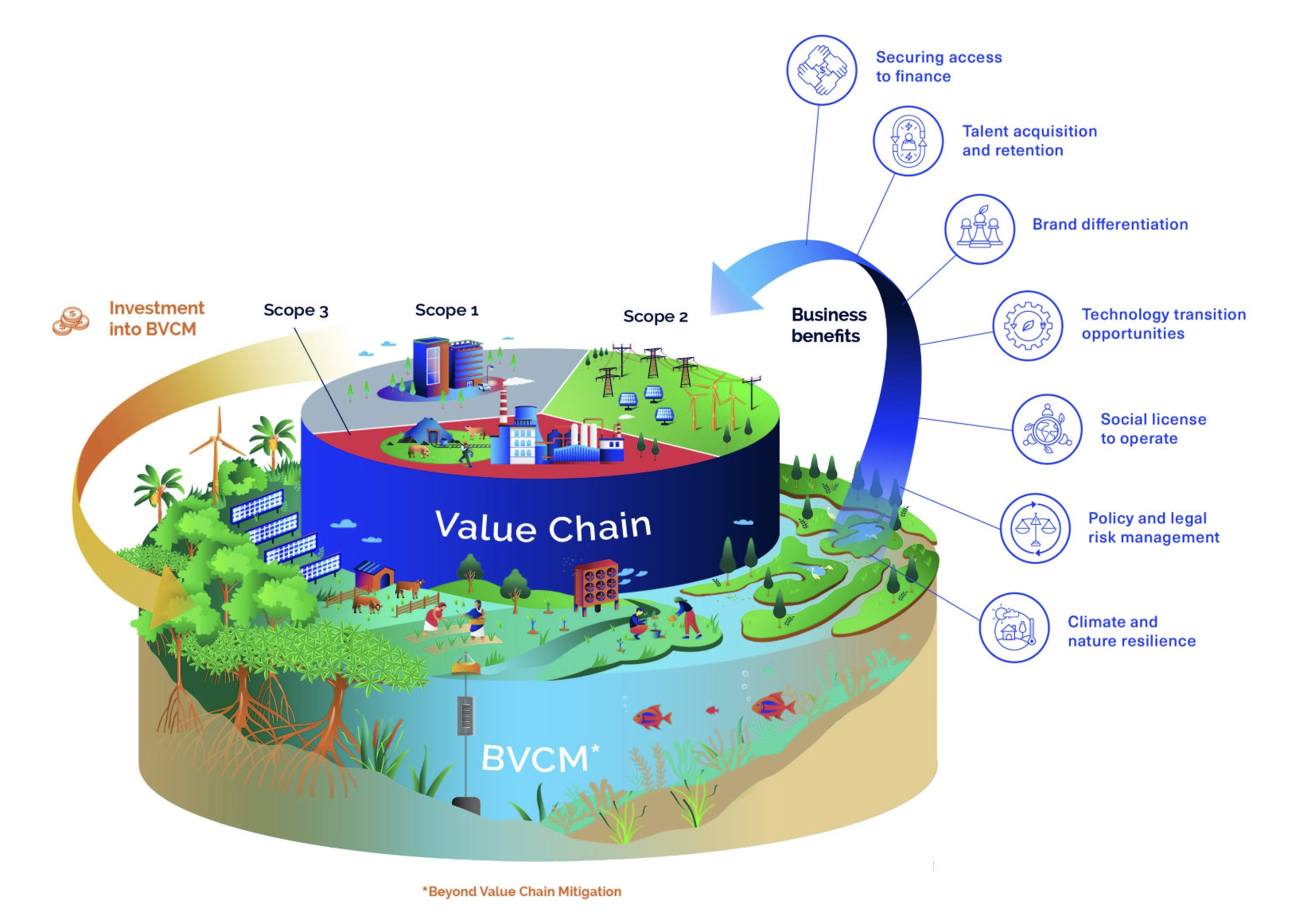 What is Beyond Value Chain Mitigation (BVCM)?